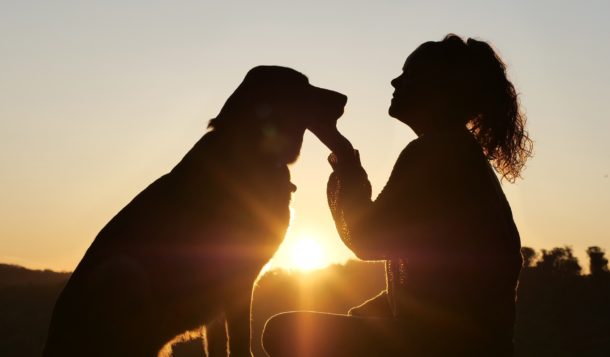 talk to animals - Val Heart