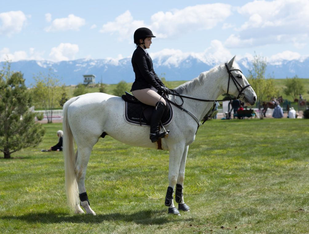 3 Exercises to Master the Halt - Val Heart