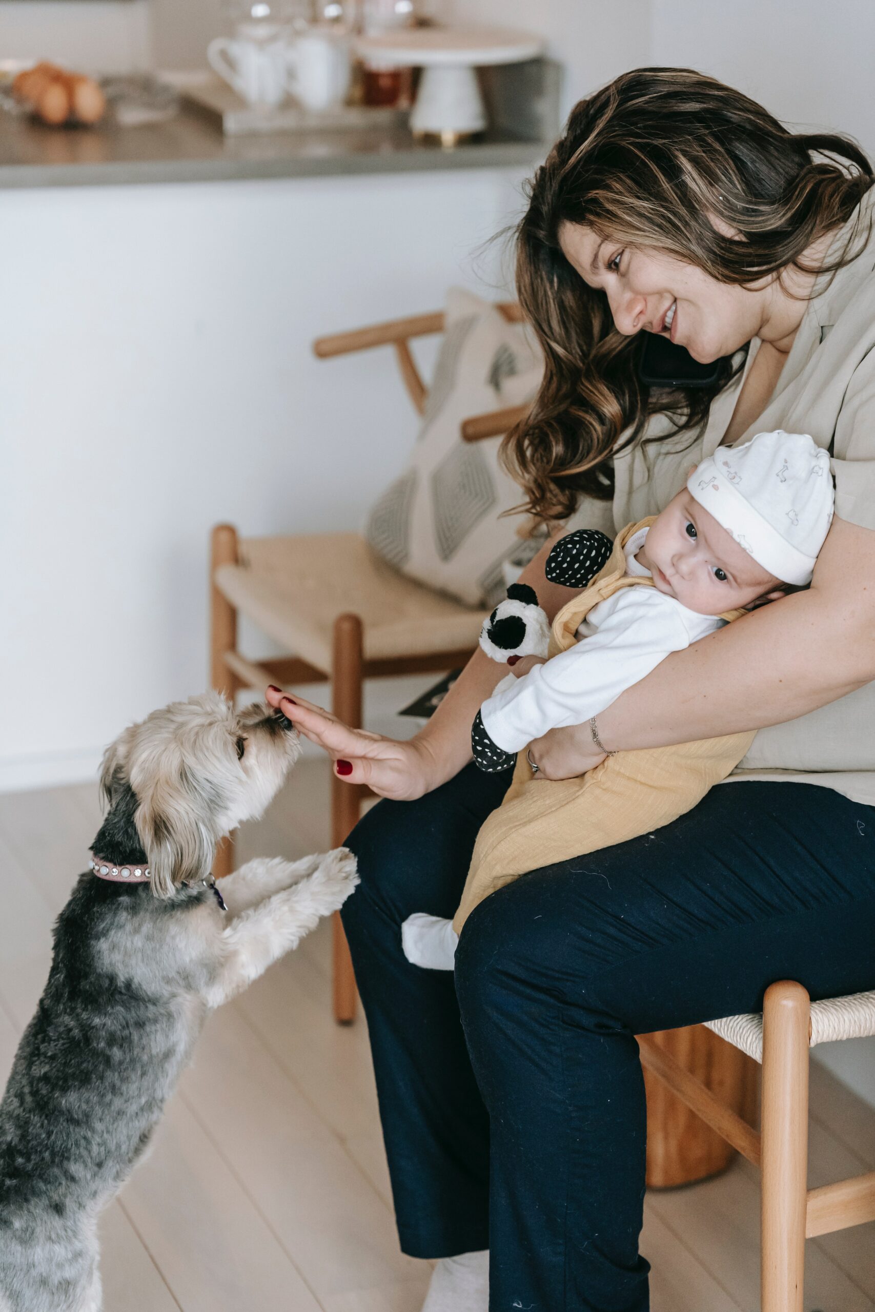 3 Smart Tips on How to Introduce Your New Baby to Your Pet - Val Heart