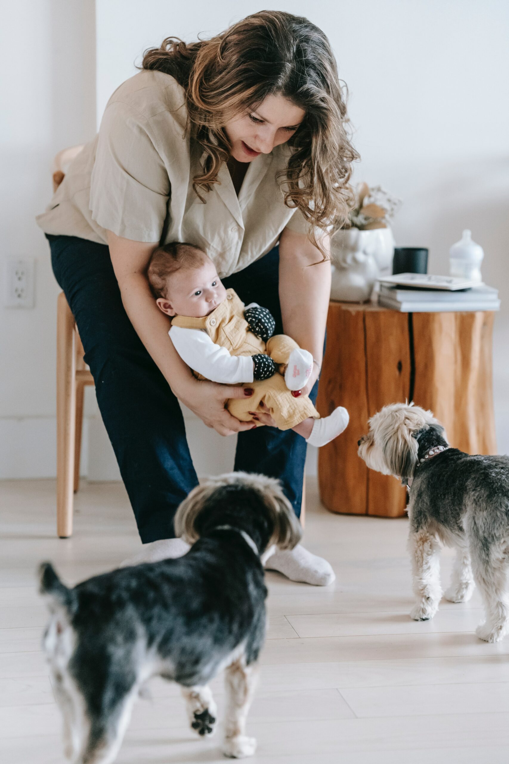 3 Smart Tips on How to Introduce Your New Baby to Your Pet - Val Heart