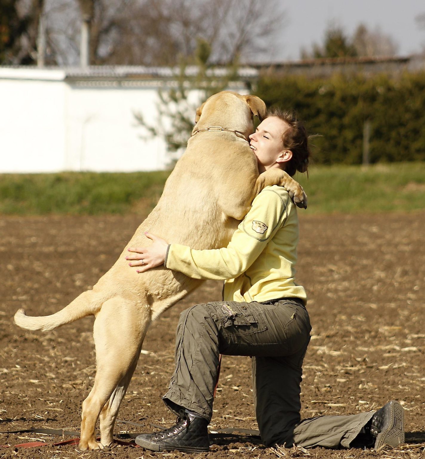 Pet Communication: Understanding the Importance of the Heartmind ...