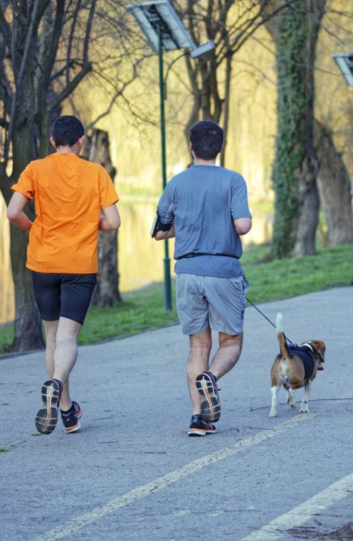 5 Quick Tips on How to Enjoy a Good Run with Your Dog - Val Heart