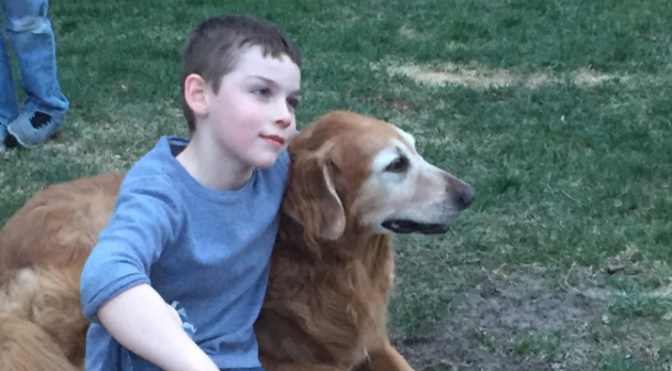 20 Great Children-Friendly Dog Breeds - Val Heart